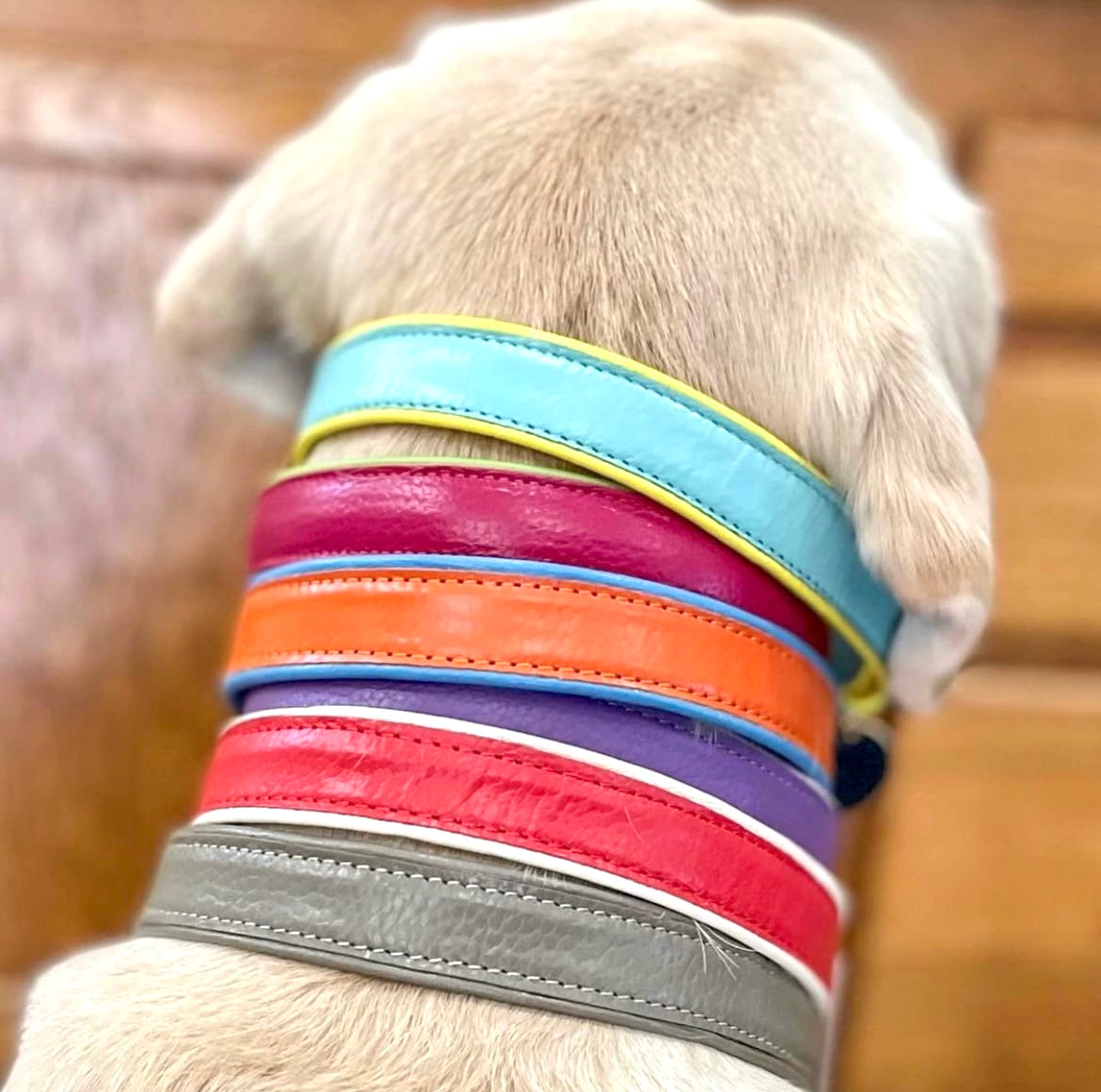 Luxury Leather Dog Collars | Handmade Leather Dog Collars