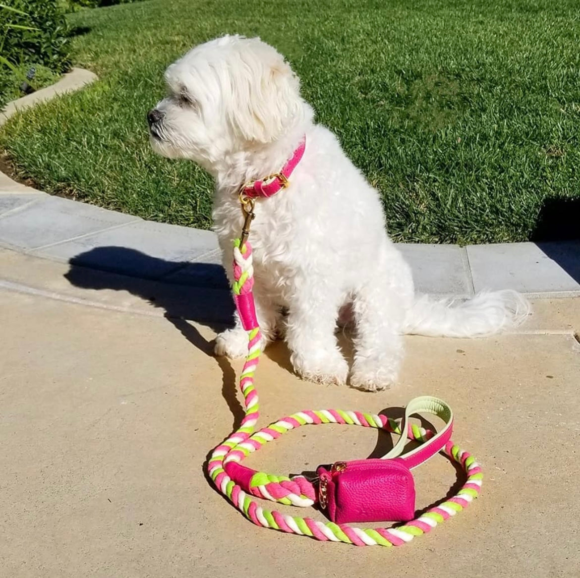 Candy Swirl Leash | Fuchsia & Green Rope Dog Leash